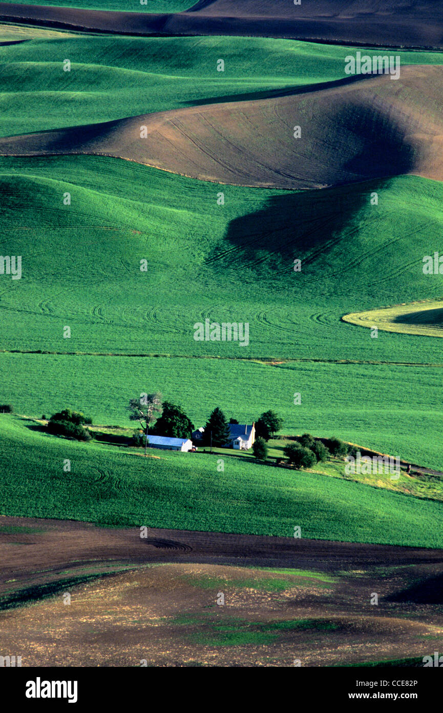 Farm house among hills of green and cleared fields sunset light from ...