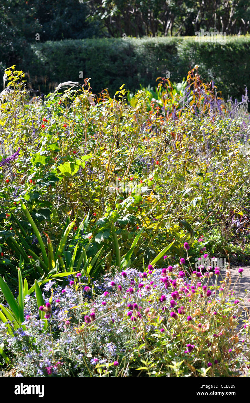 Flowers in park Stock Photo - Alamy