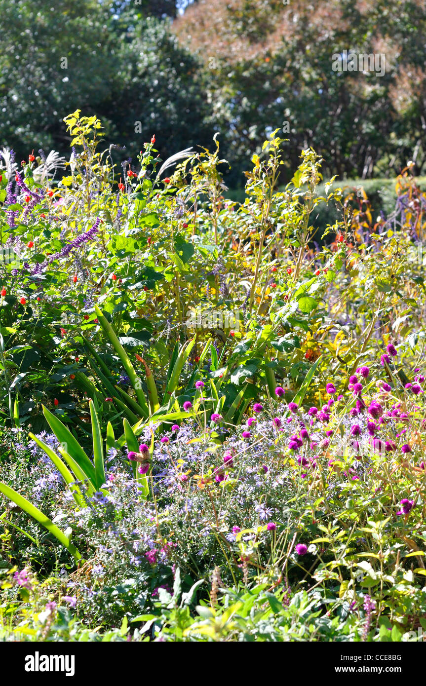 Flowers in park Stock Photo - Alamy