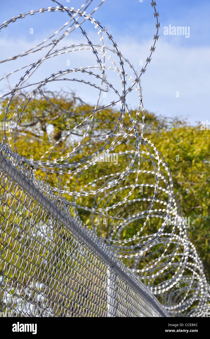 Barbed razor wire Stock Photo - Alamy