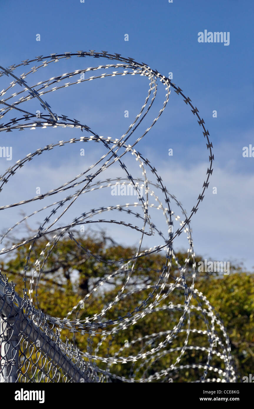 Barbed razor wire Stock Photo - Alamy