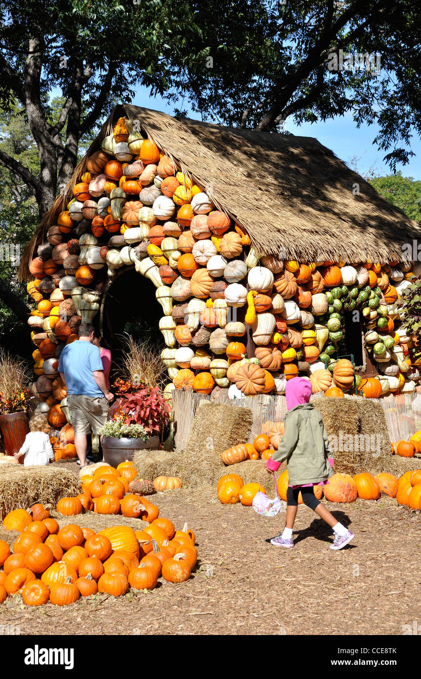 Dallas Arboretum in autumn and pumpkin house, Dallas, Texas, USA Stock ...