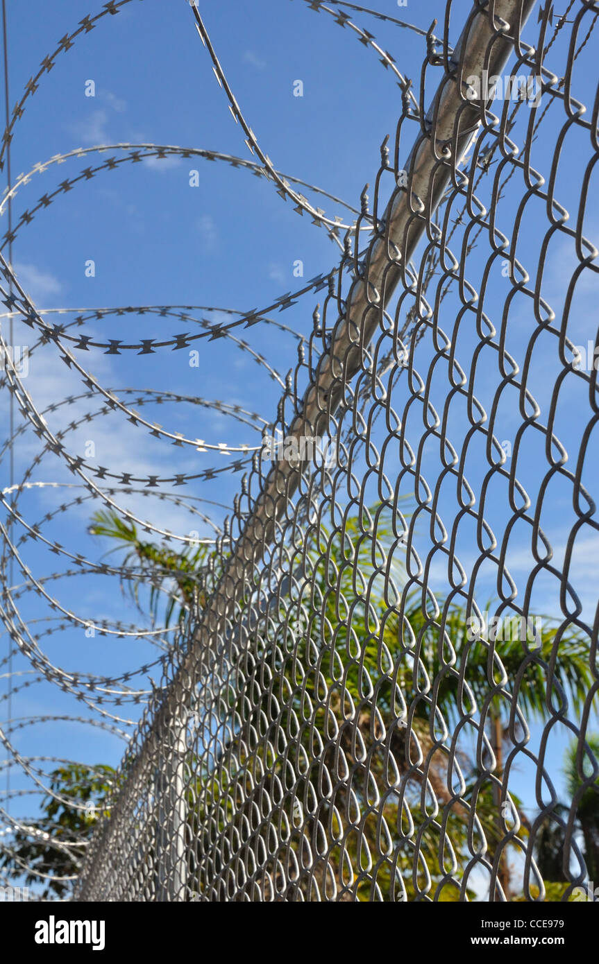 Barbed razor wire Stock Photo - Alamy