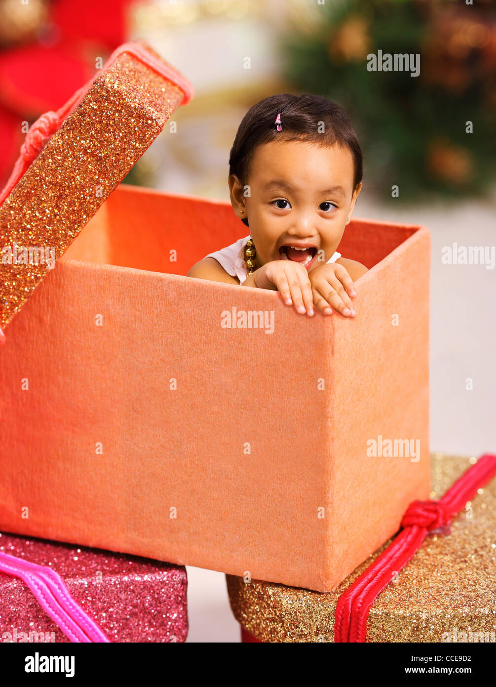 Cute Girl In A Christmas Box Stock Photo - Alamy