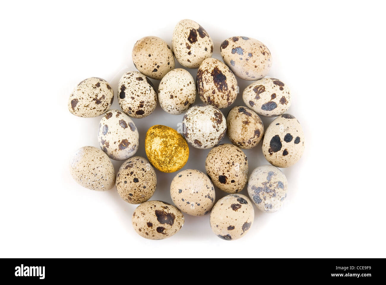 Gold quail egg in many eggs isolated on white Stock Photo - Alamy