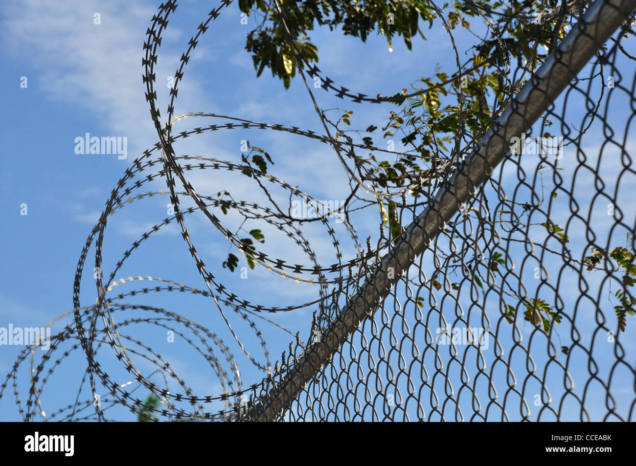 Barbed razor wire Stock Photo - Alamy