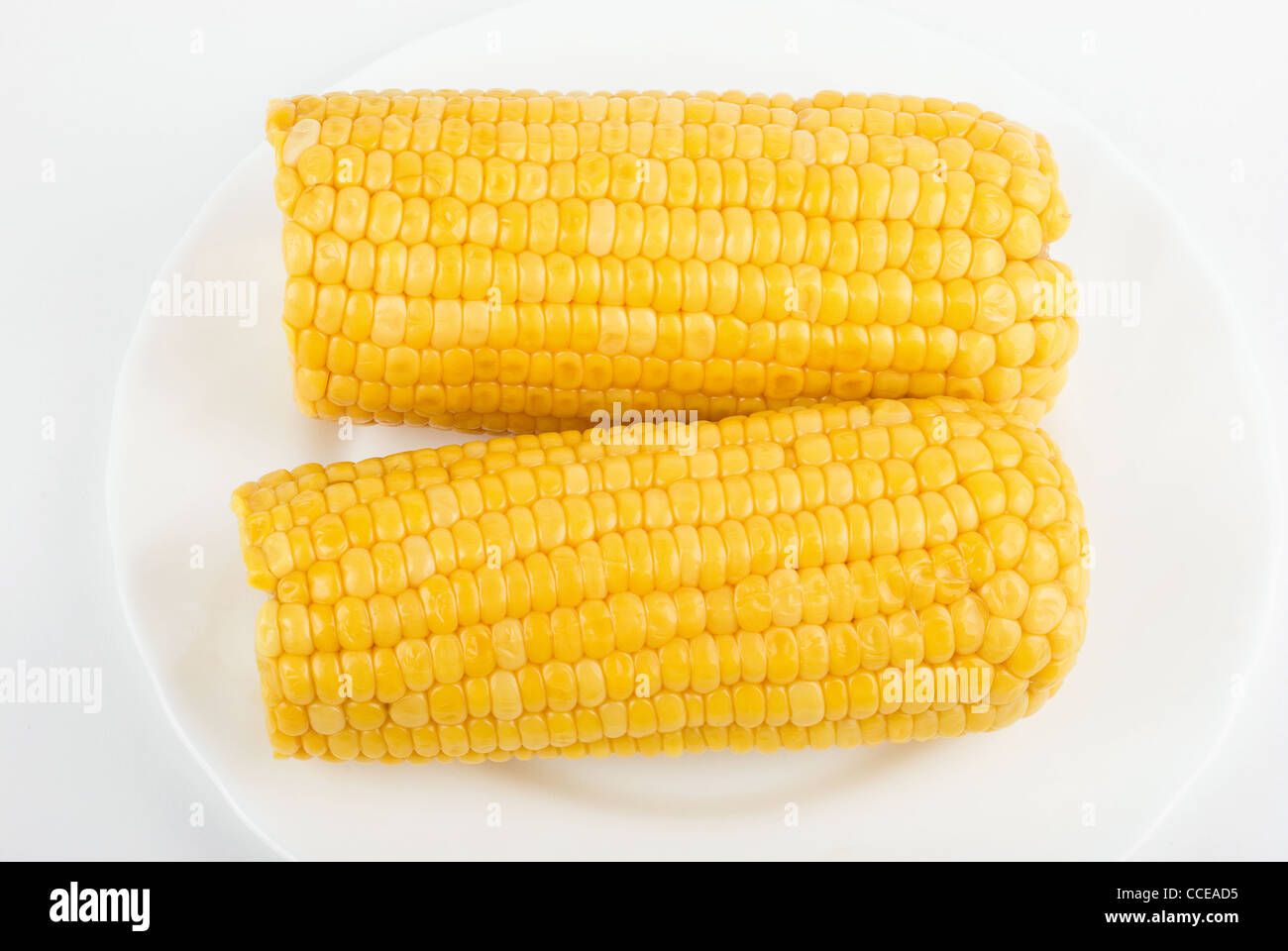 ripe yellow Corn isolated on white background Stock Photo - Alamy
