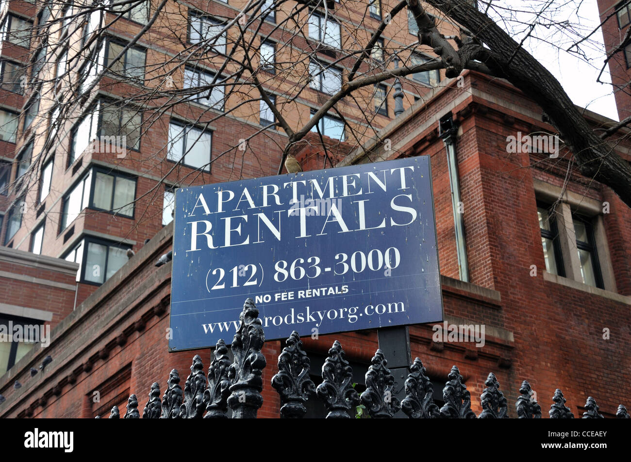 Apartment rental ad, New York City, USA Stock Photo - Alamy