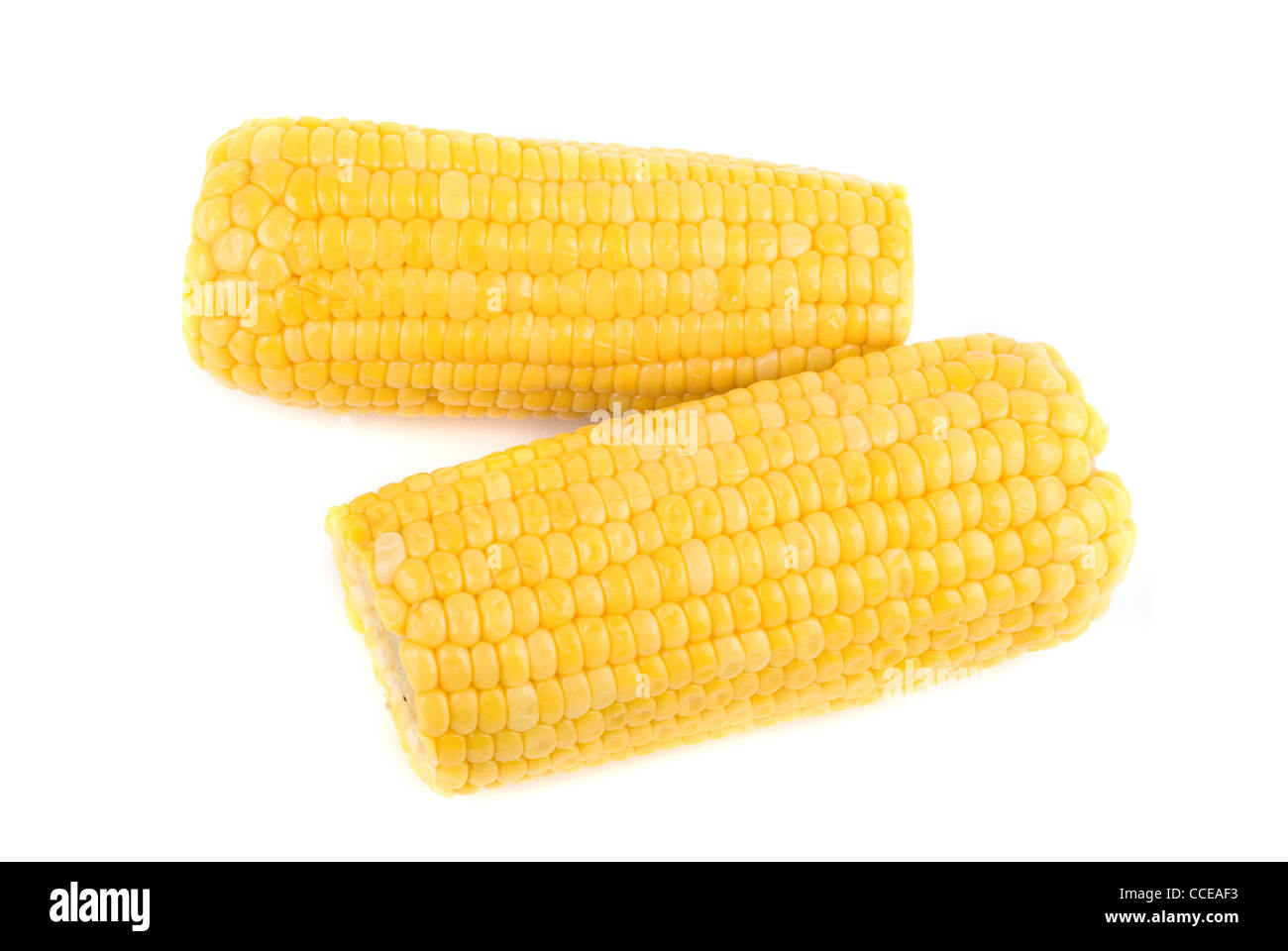 ripe yellow Corn isolated on white background Stock Photo - Alamy