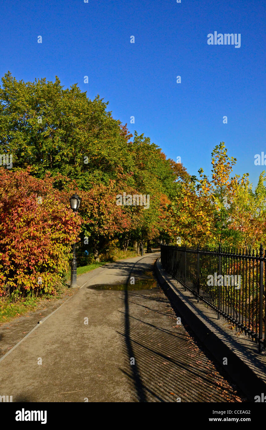 Jogging Path in Central Park in New York City, USA Stock Photo - Alamy