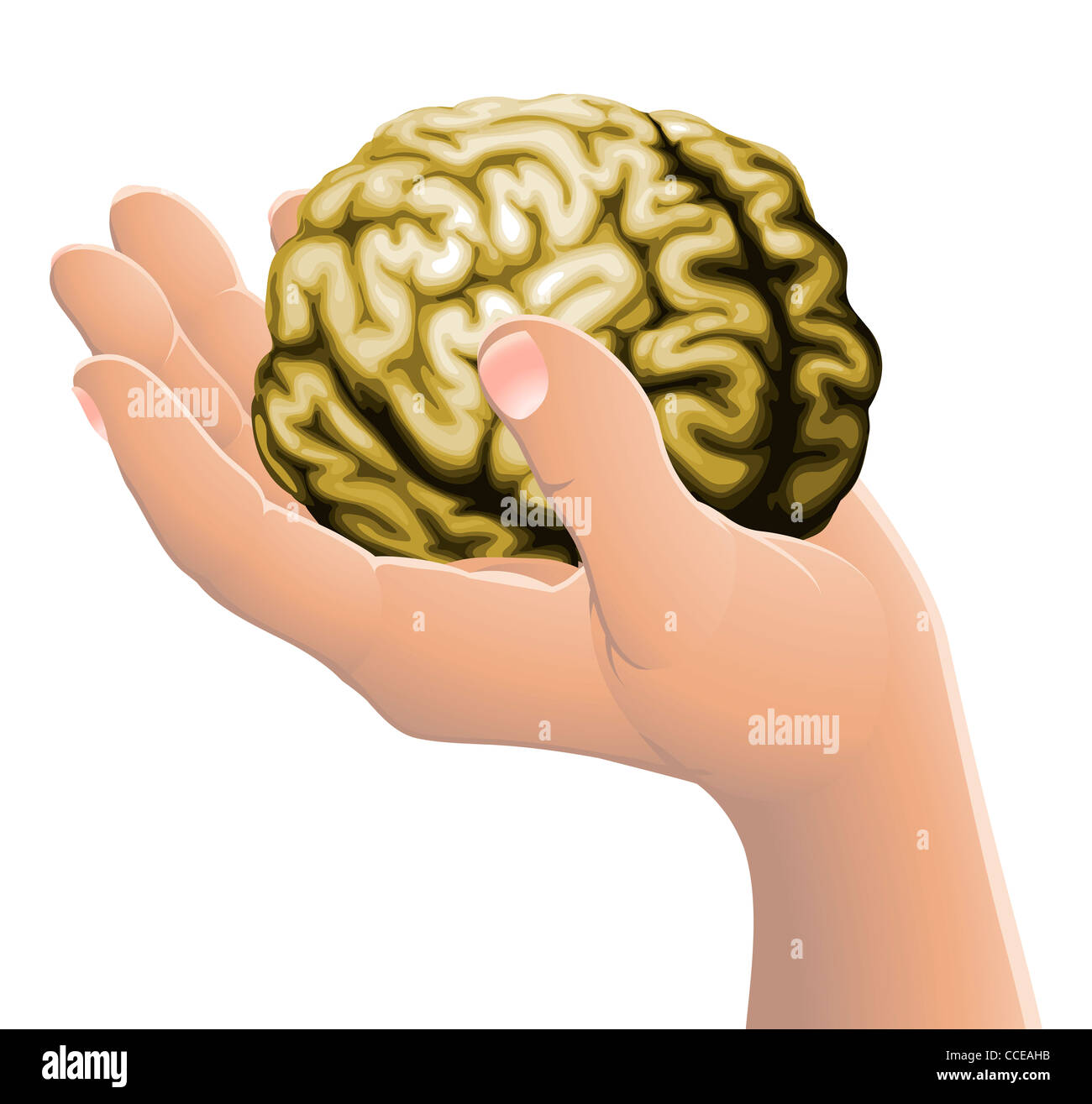 Conceptual illustration of a hand holding a brain Stock Photo - Alamy