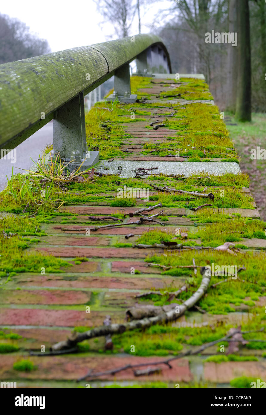 Moss covered bridge hi-res stock photography and images - Alamy