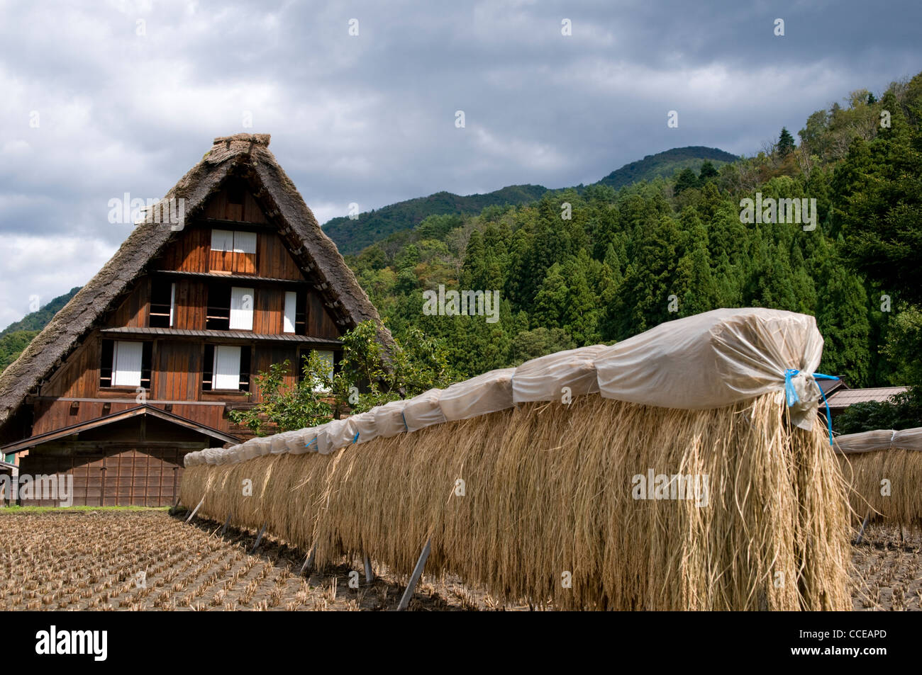 Traditional thatched roof building in Shirakawa go Unesco World ...