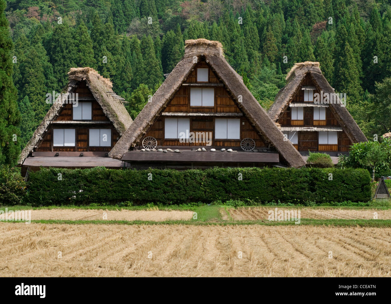 Shirakawago thatched hi-res stock photography and images - Alamy