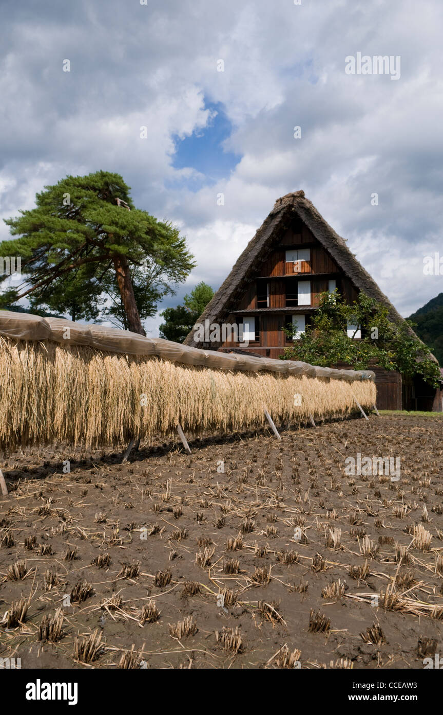 Traditional thatched roof building in Shirakawa go Unesco World ...