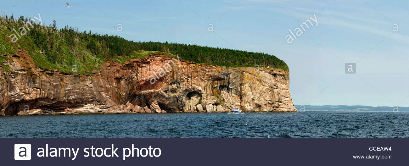 Bonaventure Island Stock Photos & Bonaventure Island Stock Images - Alamy