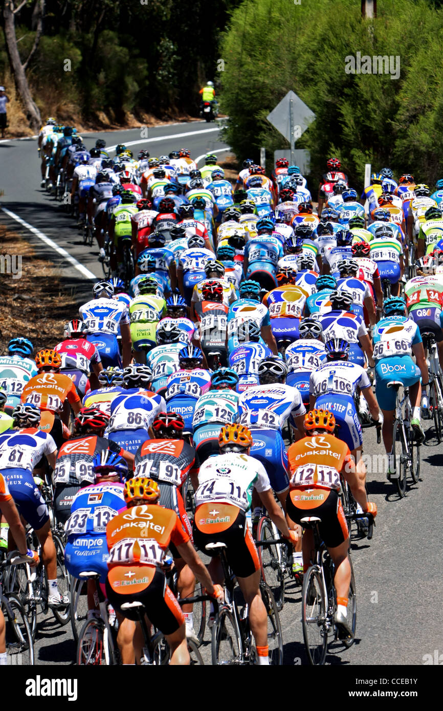 Professional cyclist riding in stage of 2009 Tour Down Under, Adelaide ...