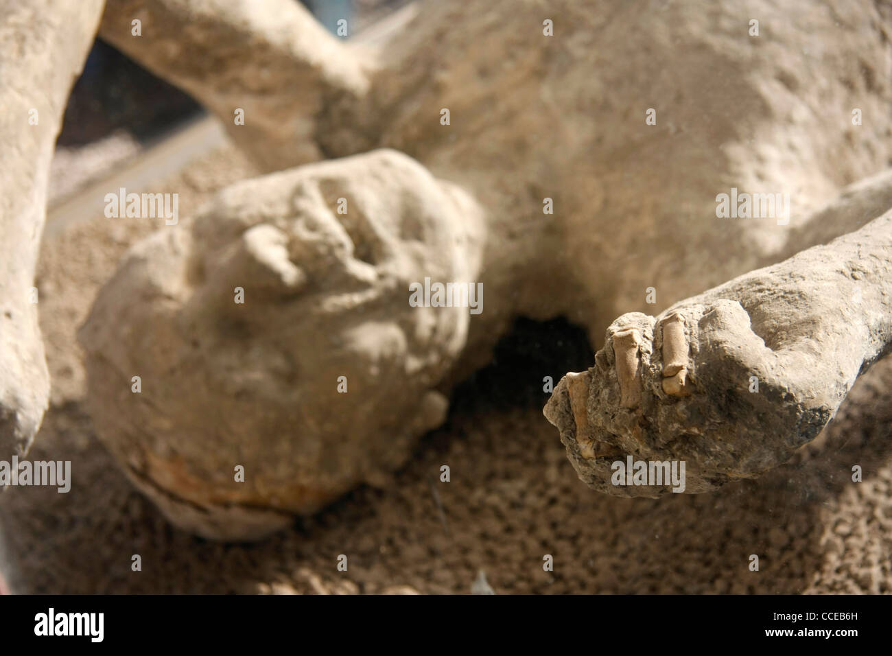 Pompeii discovery hi-res stock photography and images - Alamy