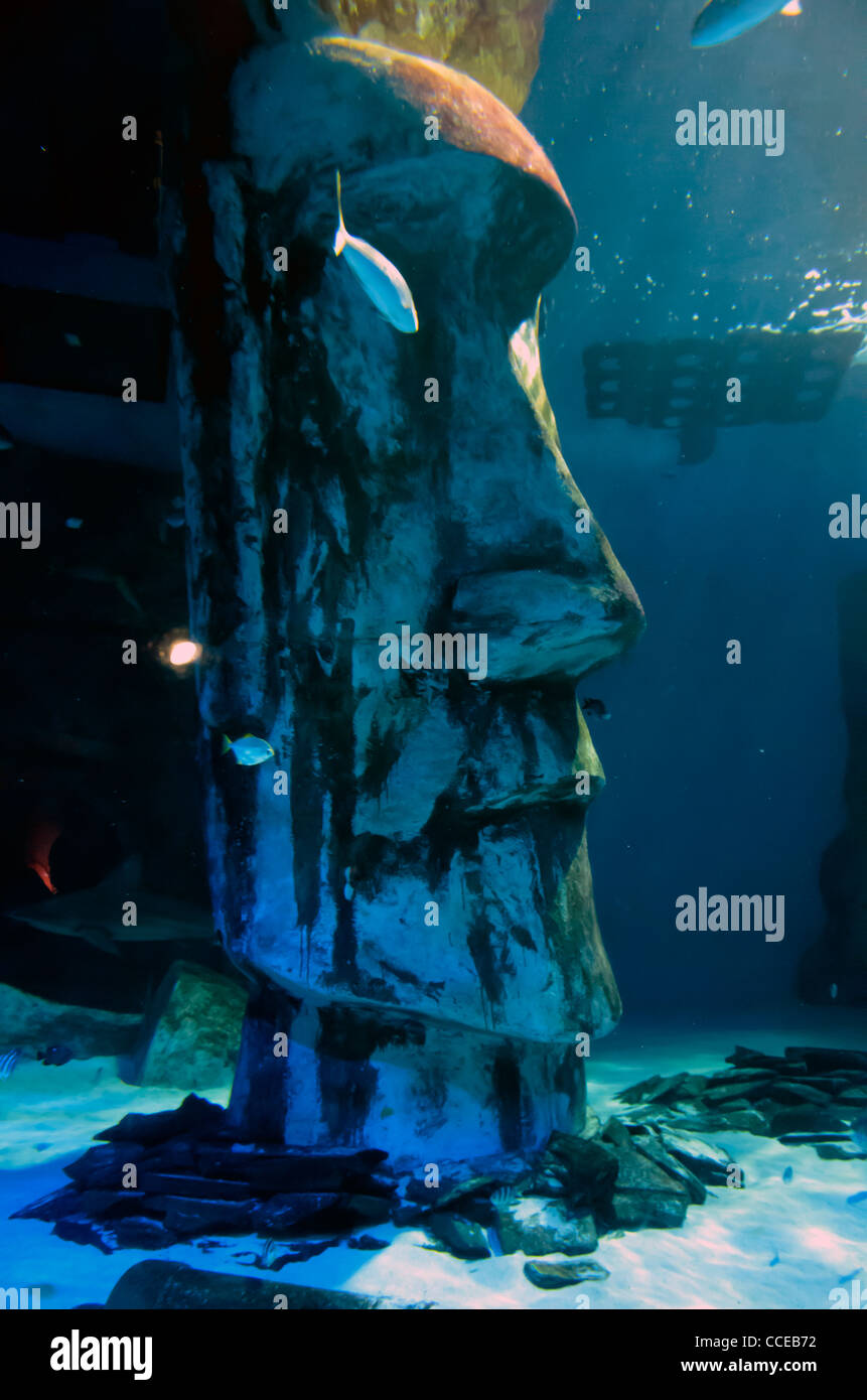 Inside the tank hi-res stock photography and images - Alamy