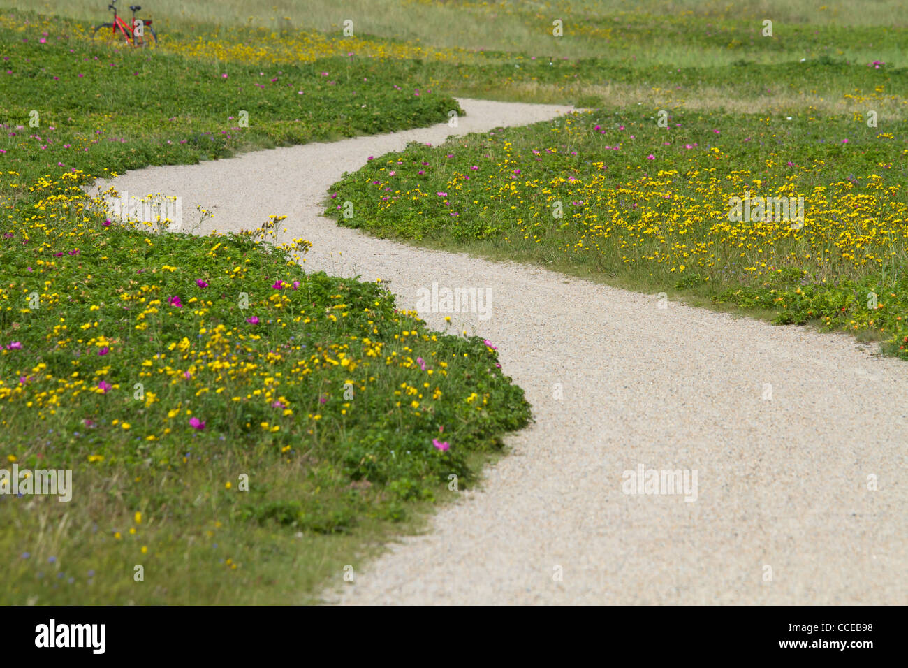 Winding foot path with grass Stock Photo - Alamy