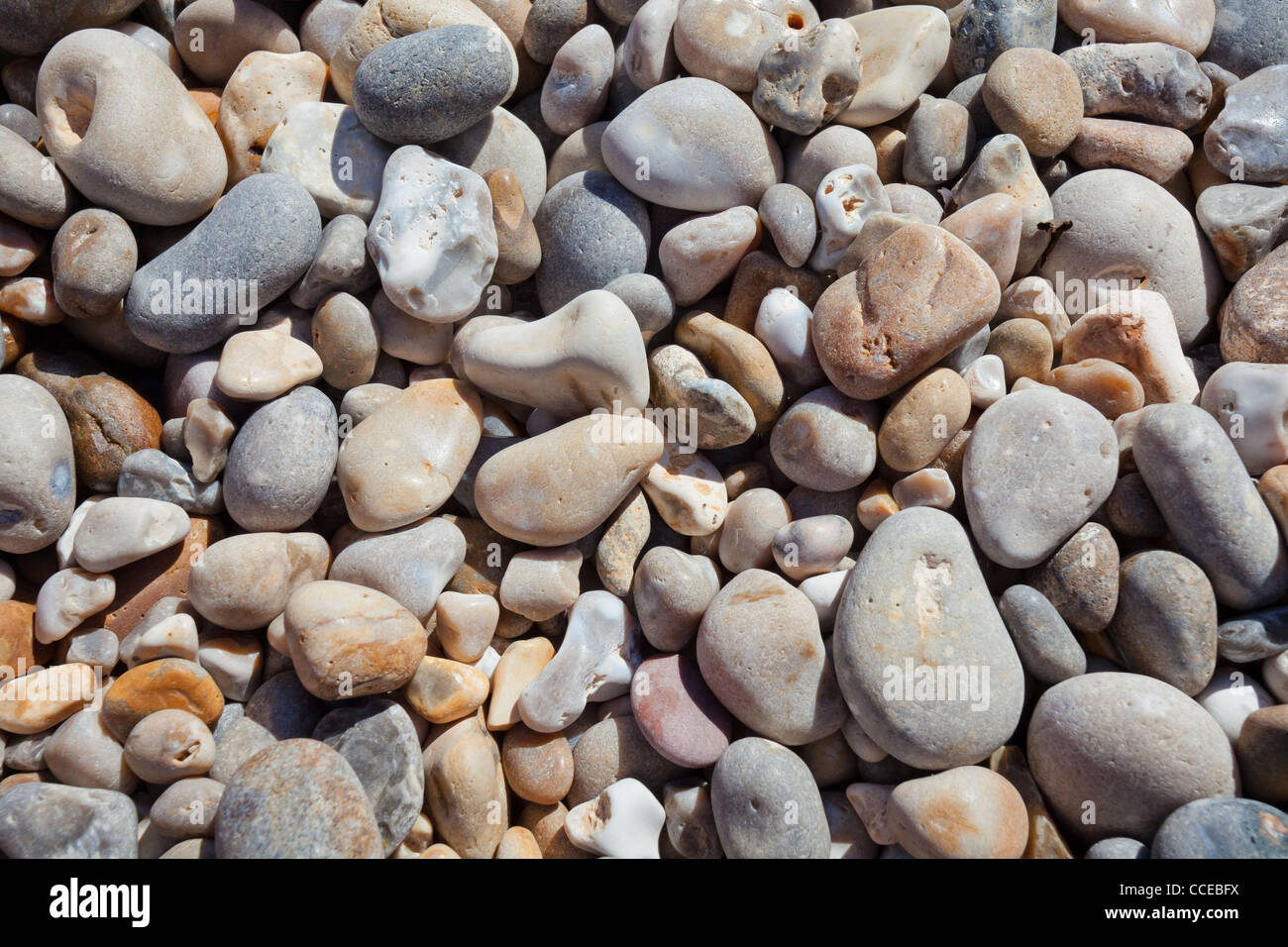 Stone pebbles on a beach Stock Photo - Alamy