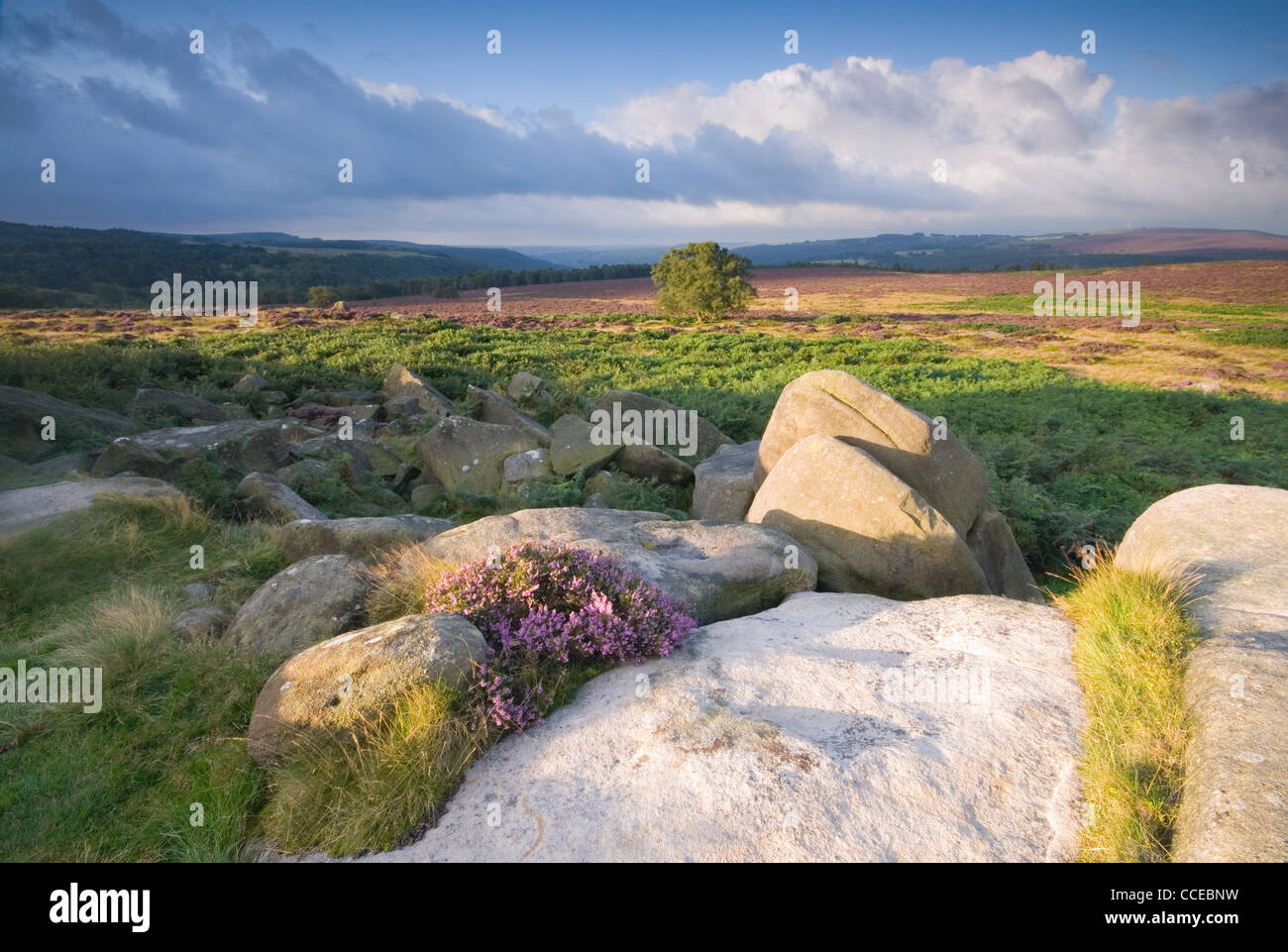 Countryside Scenery at Owler Tor and Lawrence Field in the Peak ...