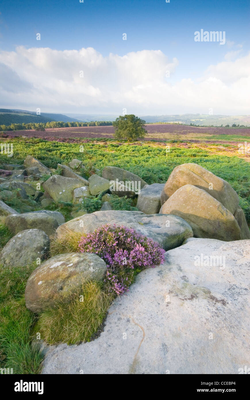 Countryside Scenery at Owler Tor and Lawrence Field in the Peak ...