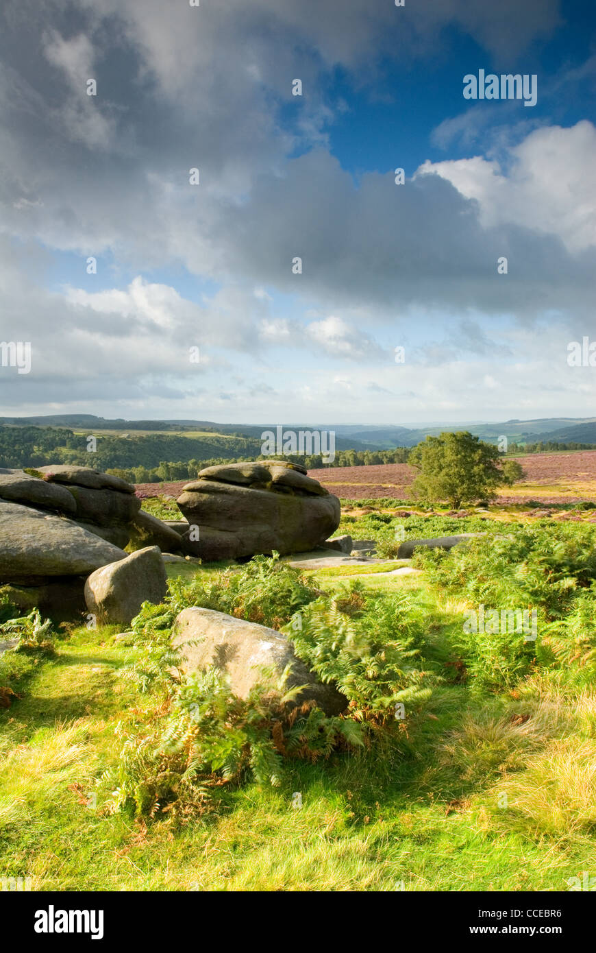 Countryside Scenery at Owler Tor and Lawrence Field in the Peak ...
