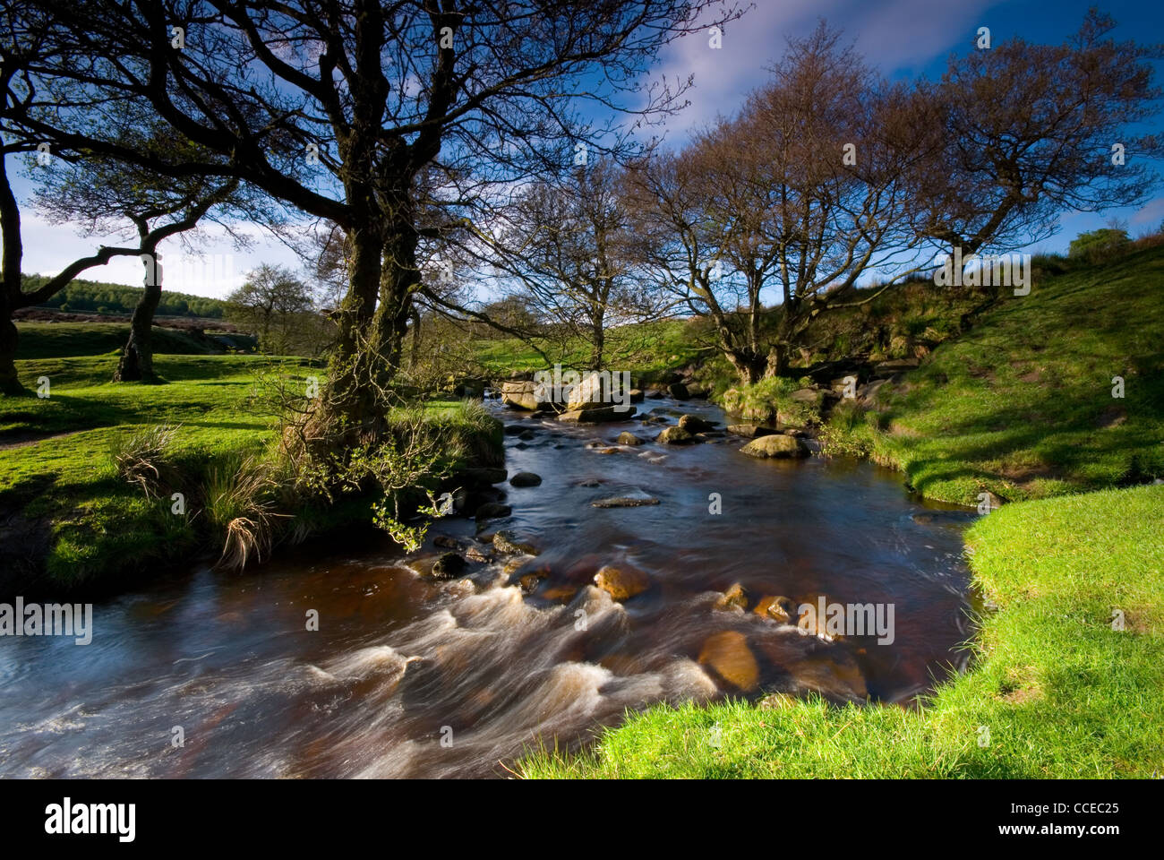 Padley Gorge in the Peak District National Park Stock Photo - Alamy