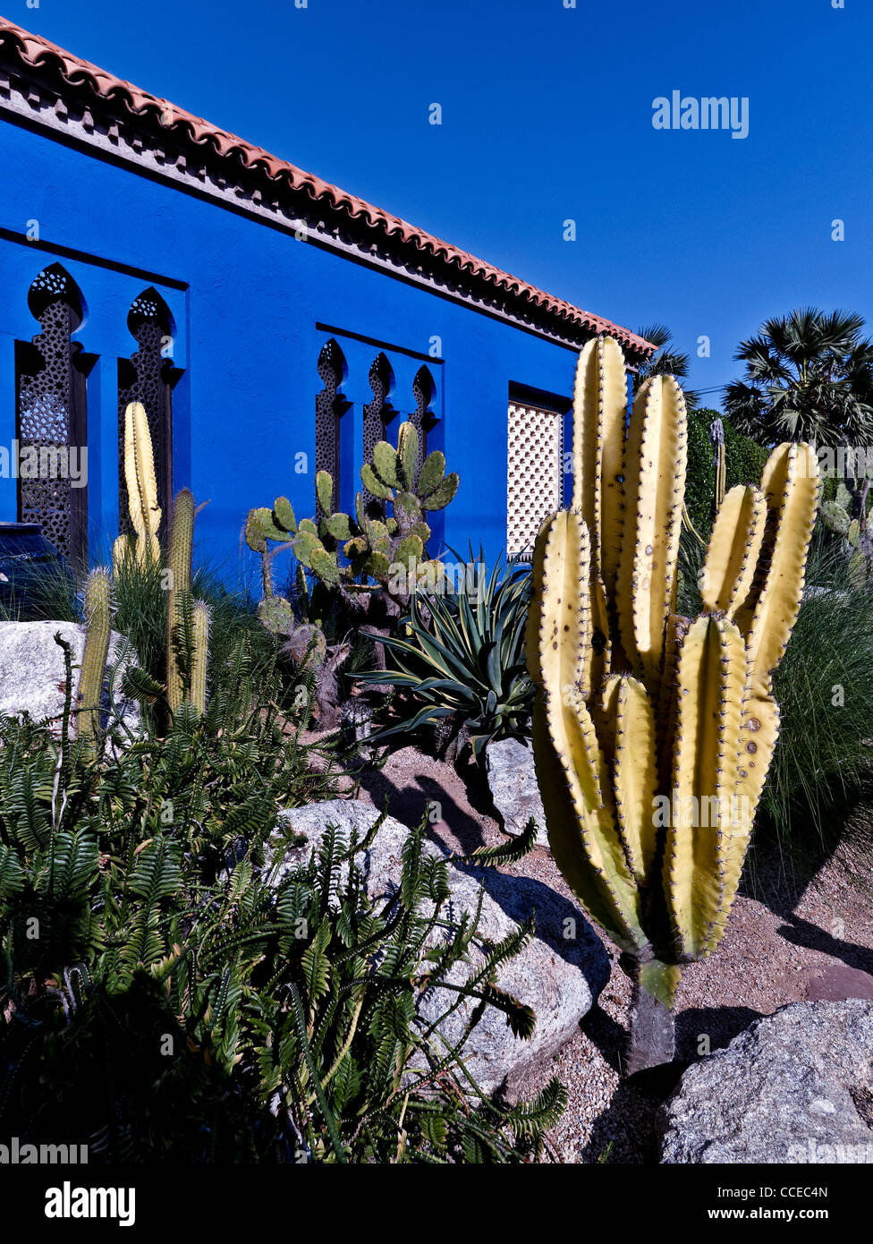 Cactus building hi-res stock photography and images - Alamy