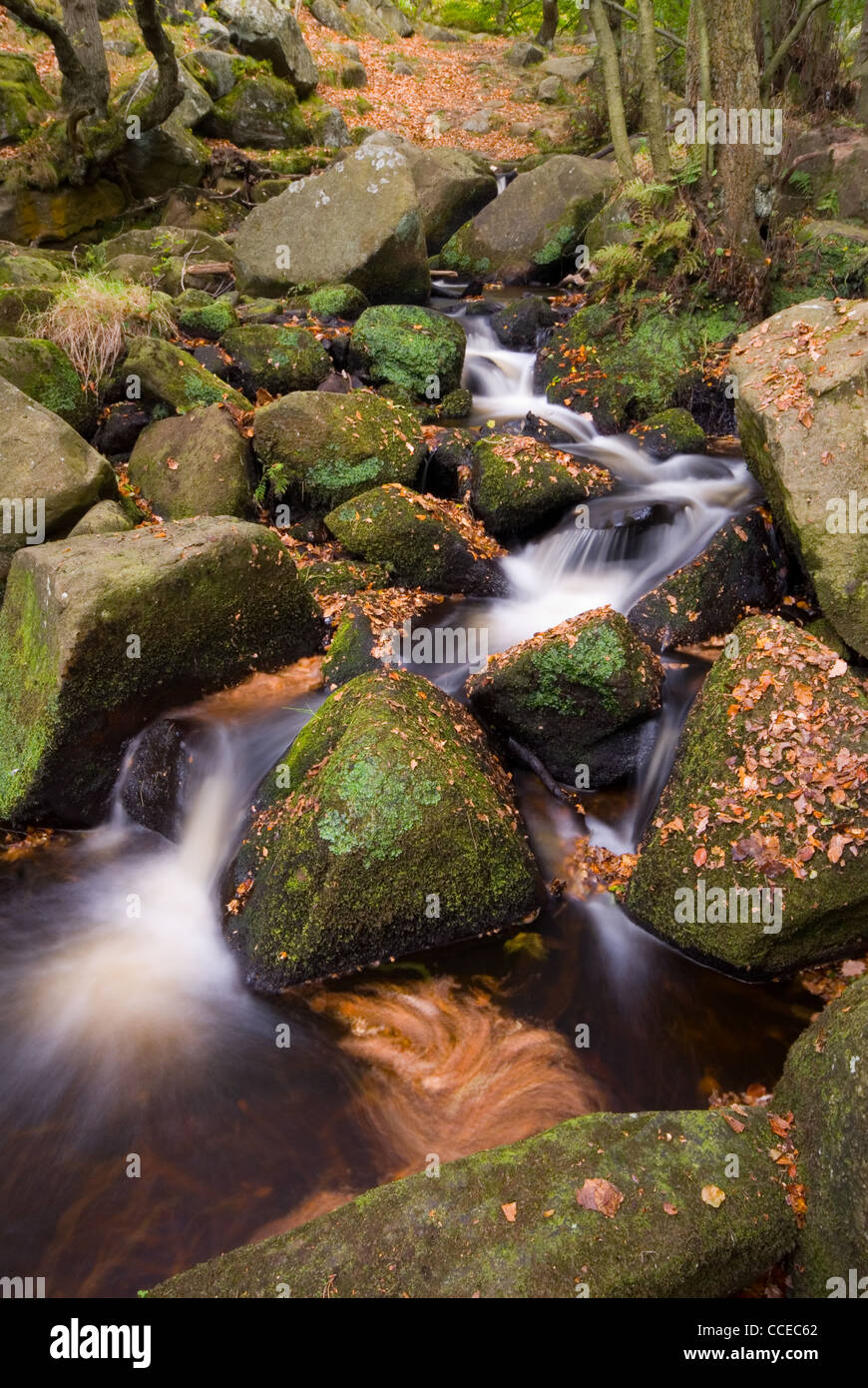 Padley Gorge in the Peak District National Park Stock Photo - Alamy