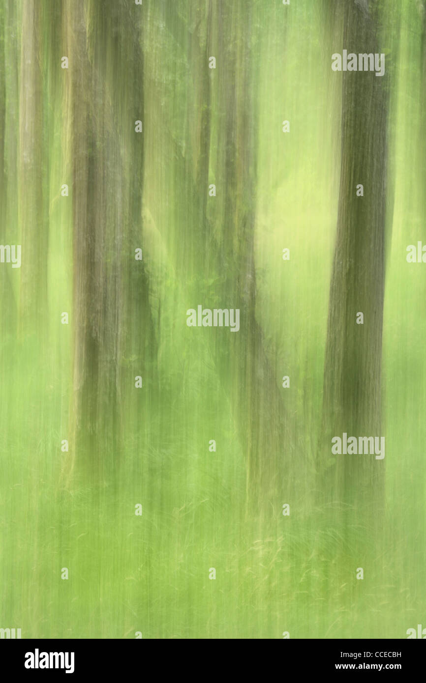 Abstract Impressionism High Resolution Stock Photography and Images - Alamy