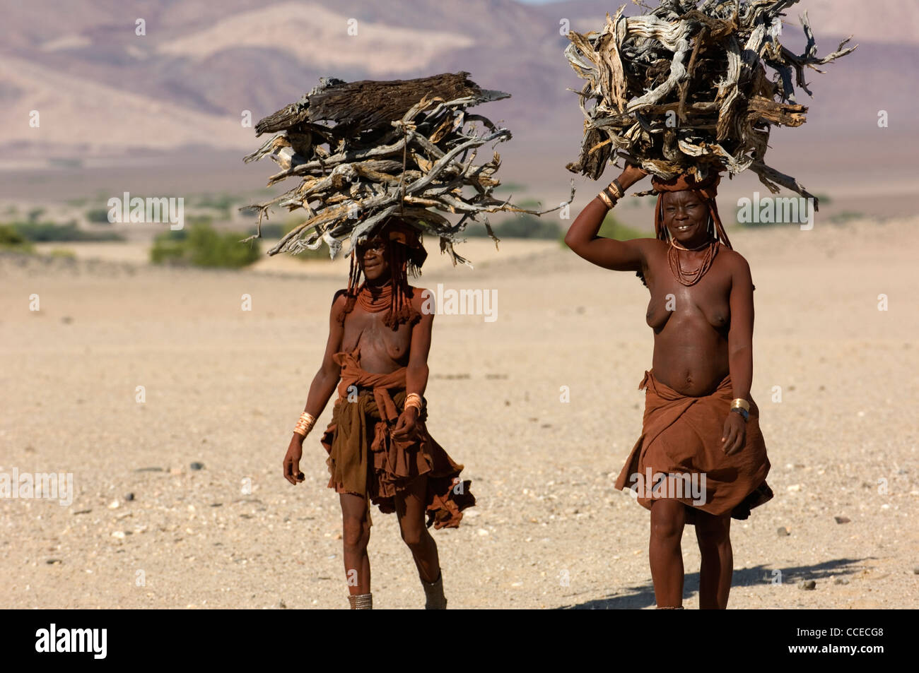The Himba are a tiny group in Namibia, who dust their skin with a red ...