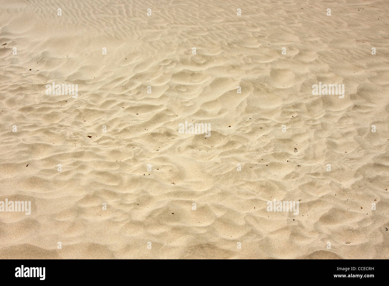 Pattern and structure on the beach as a background hi-res stock ...