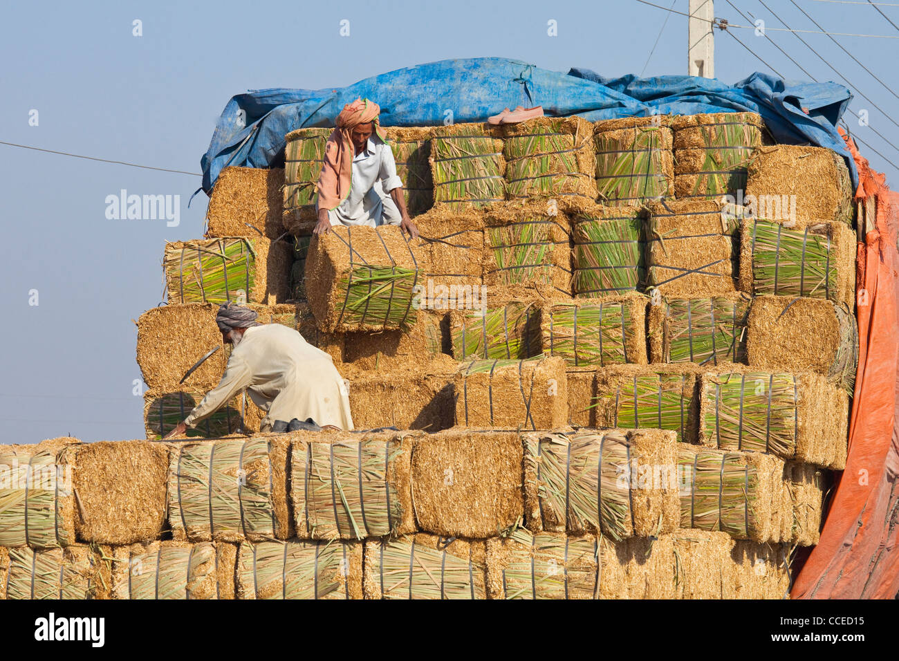 Moving hay bales hi-res stock photography and images - Alamy