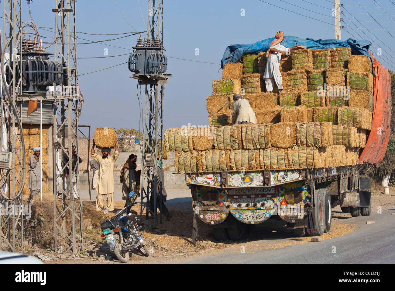Men unloading a truck in Punjab Province, Pakistan Stock Photo - Alamy