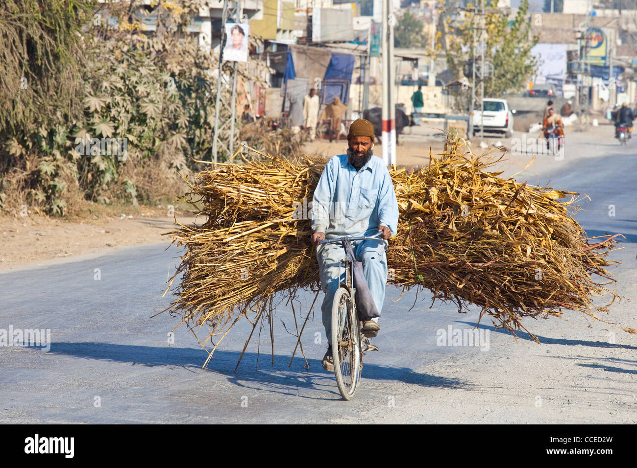 Transporting hay on a bicycle in Punjab Province, Pakistan Stock Photo ...