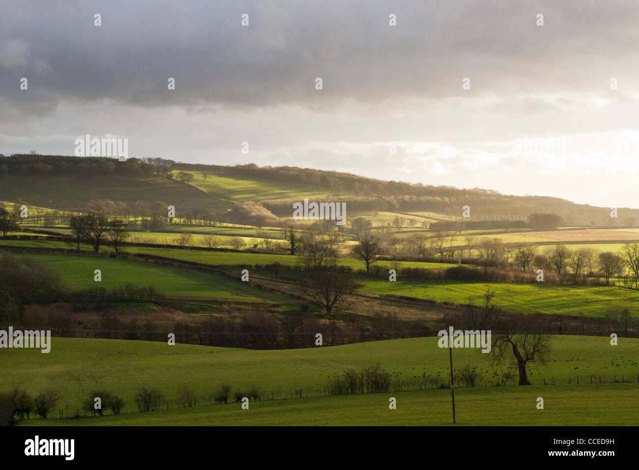 Yorkshire Wolds landscape Stock Photo - Alamy