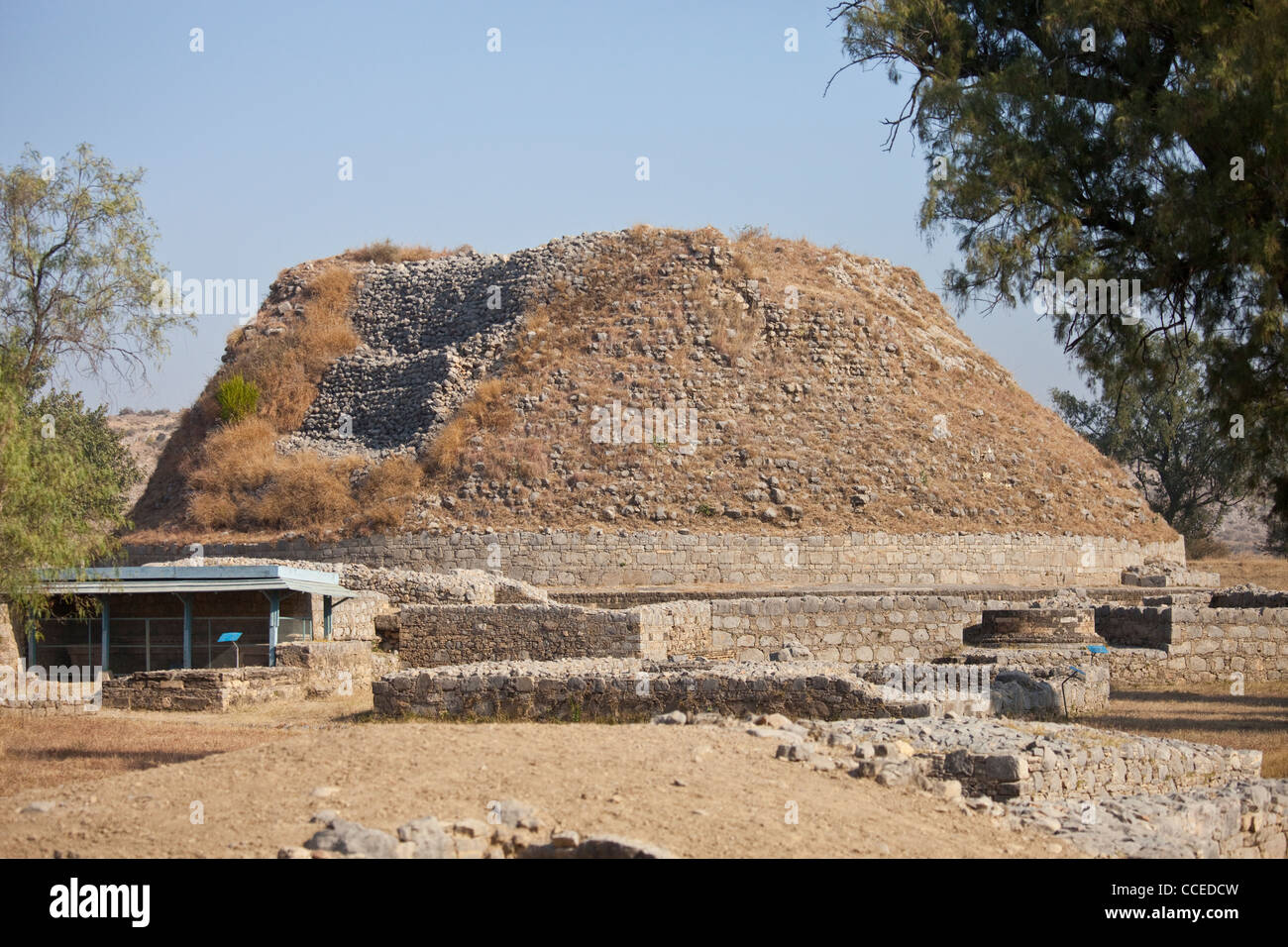 Dharmarajika stupa hi-res stock photography and images - Alamy