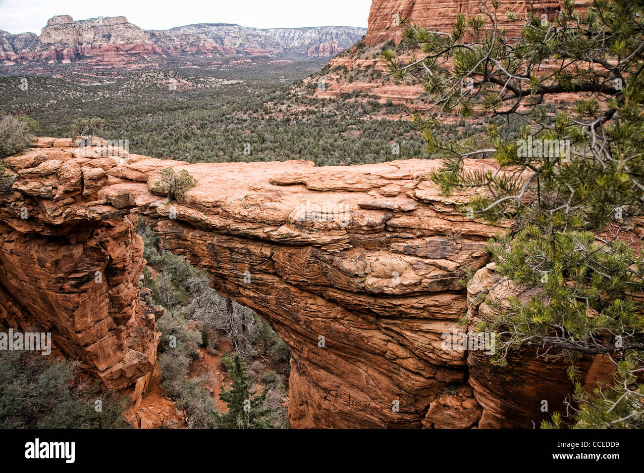 Devil's bridge arizona hi-res stock photography and images - Alamy