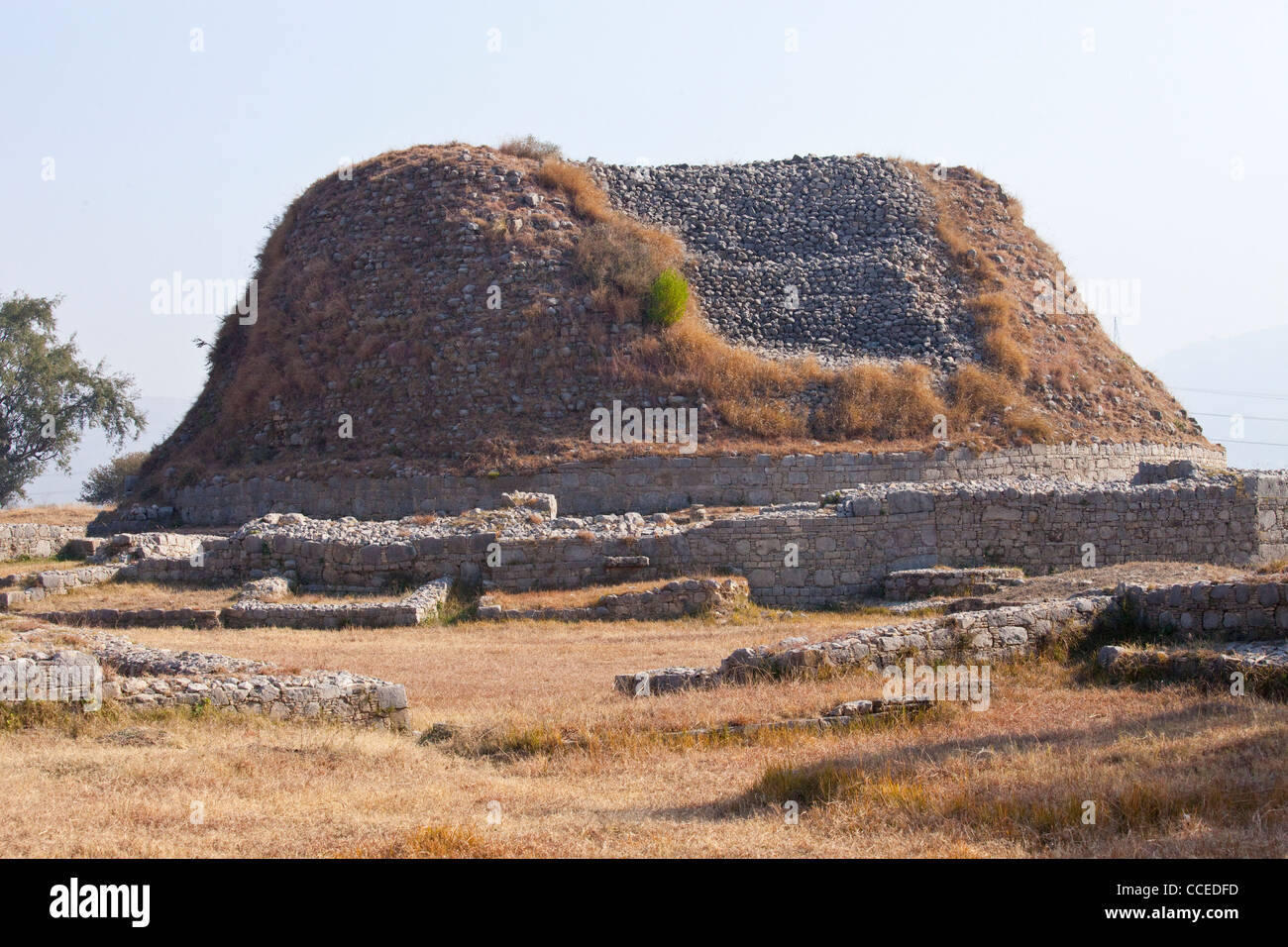 Dharmarajika Stupa, Taxila, Punjab Province, Pakistan Stock Photo - Alamy