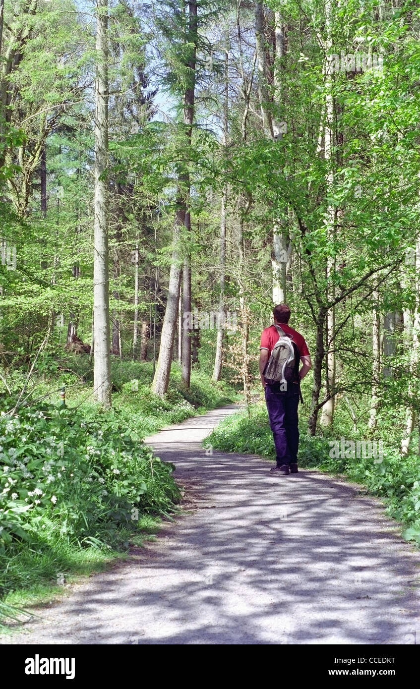 Walker ramblers hi-res stock photography and images - Alamy