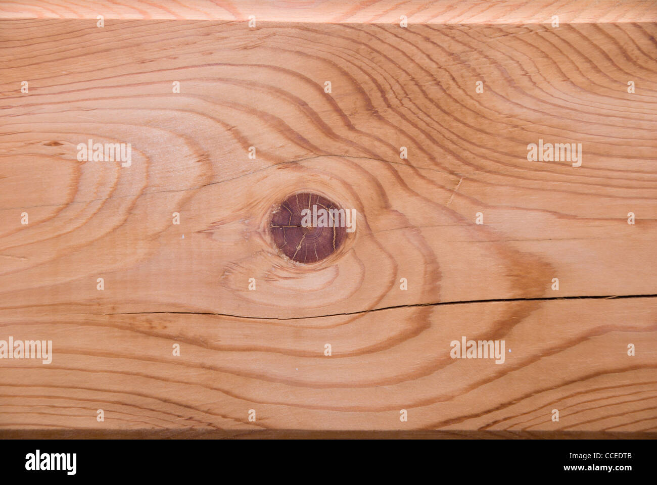 Wood texture close up background Stock Photo - Alamy