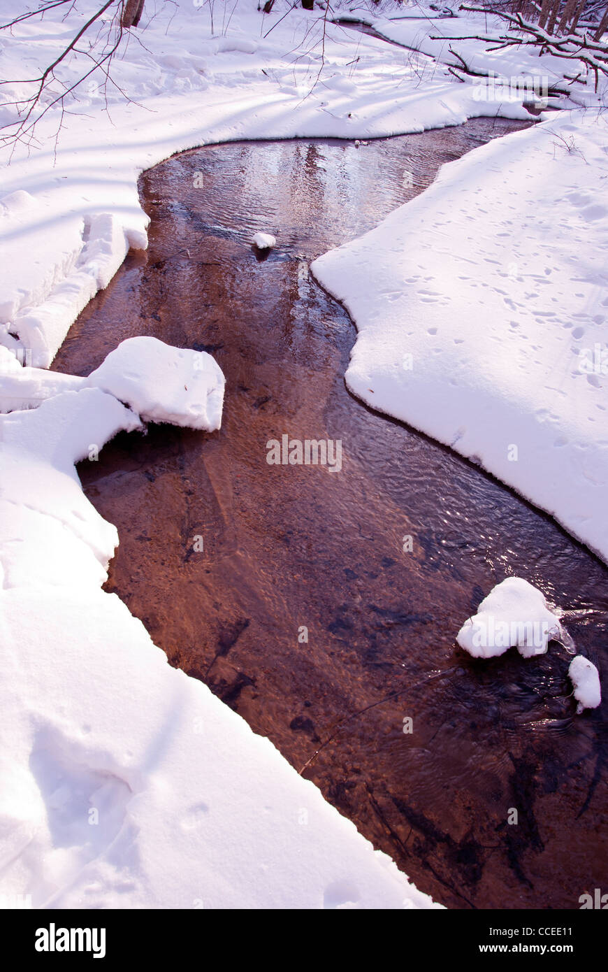 Flowing forest stream water during winter. Coast covered with snow but ...