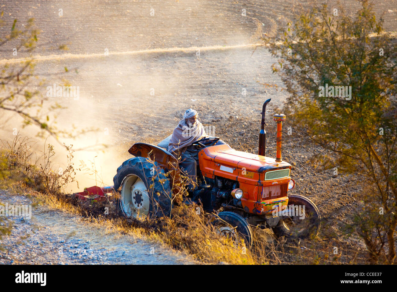 Farmer on a tractor in Punjab Province, Pakistan Stock Photo - Alamy