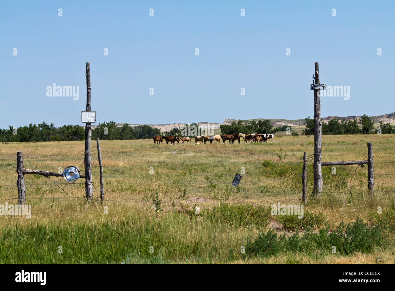 Pine Ridge prairie Native American Reservation Lakota Oglala Sioux ...