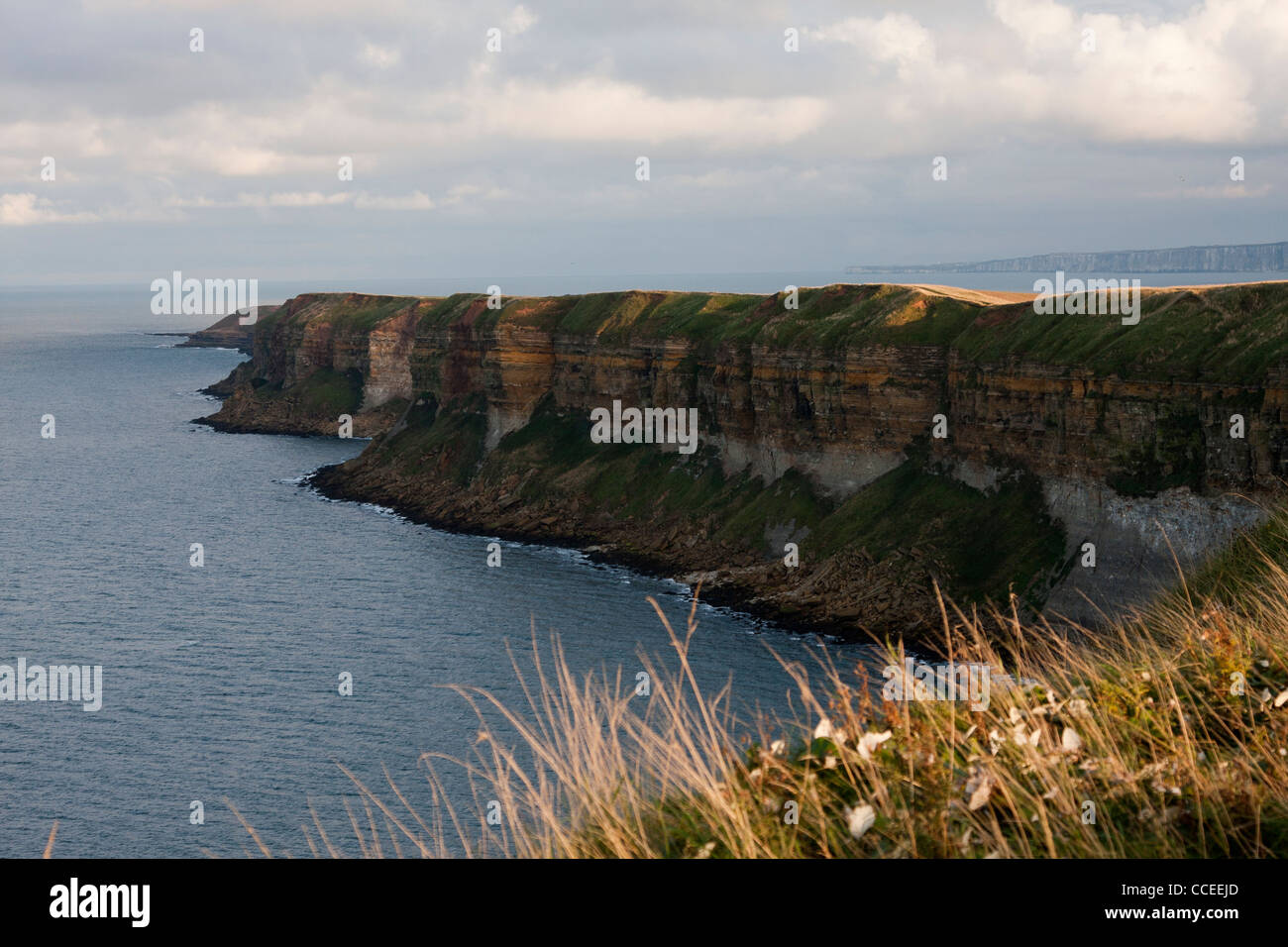 Cliffs near Filey Stock Photo - Alamy