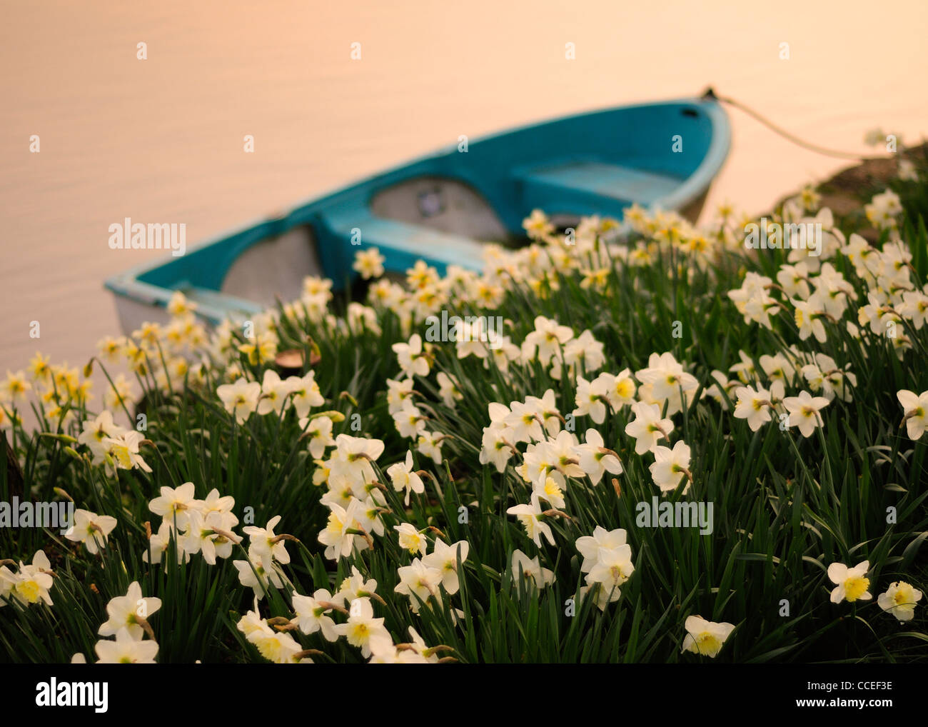 Beautiful Spring evening by the river Stock Photo - Alamy