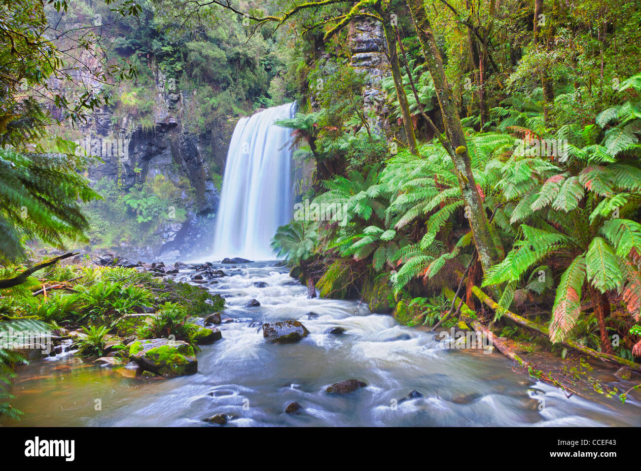Hopetoun Falls in Otway Ranges National Park, Victoria Australia Stock ...