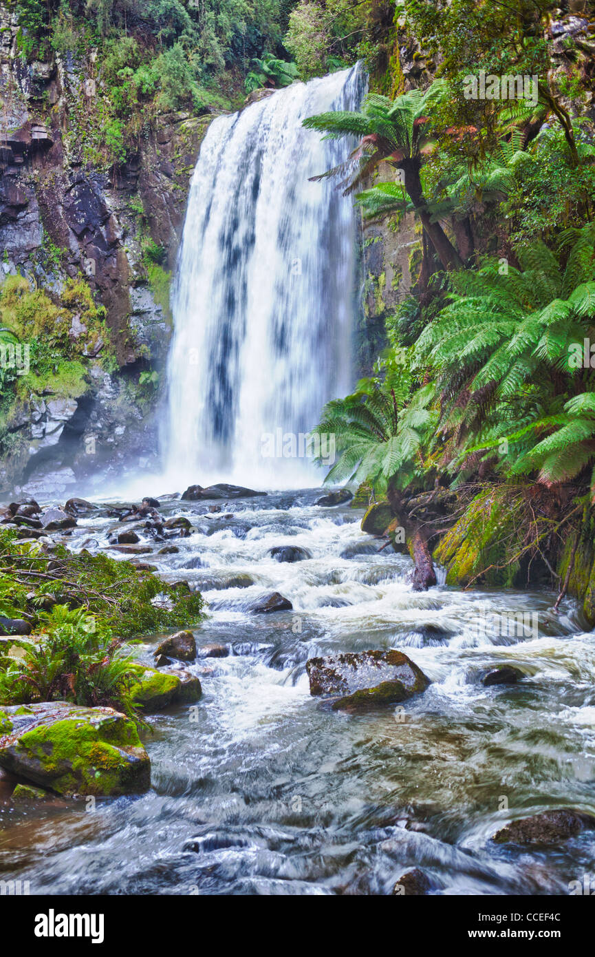 Hopetoun Falls in Otway Ranges National Park, Victoria Australia Stock ...